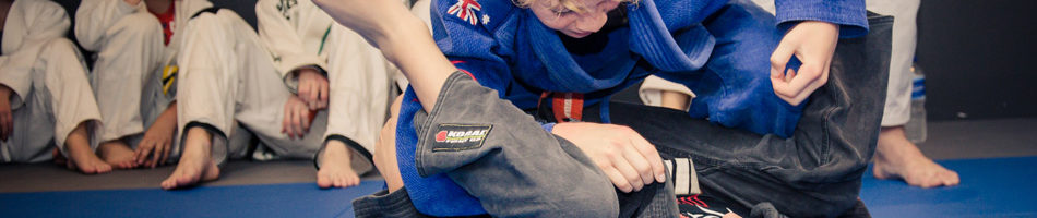 Jay - Springfield - Smart Version